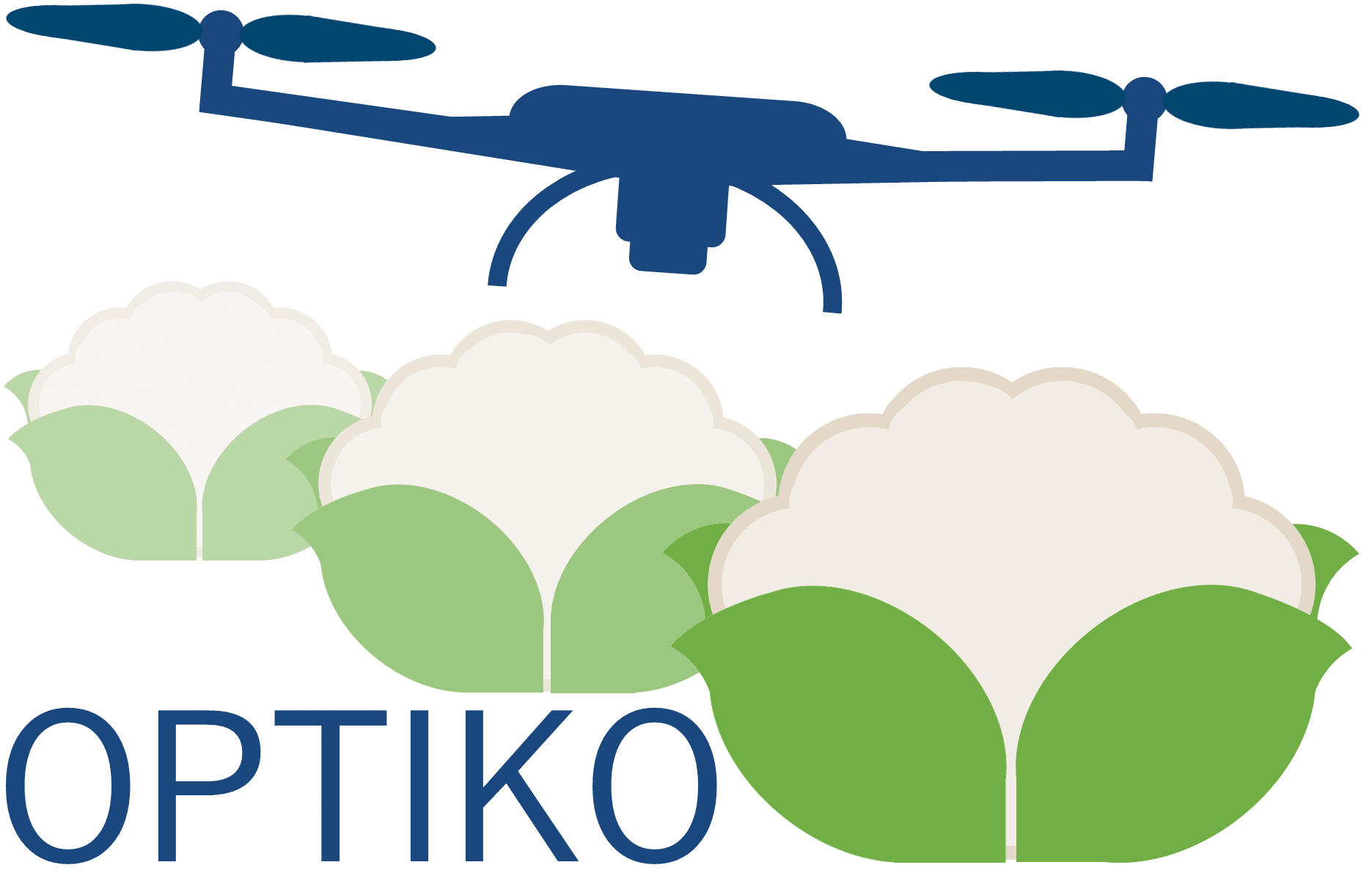 Projects – Data Science For Crop Systems